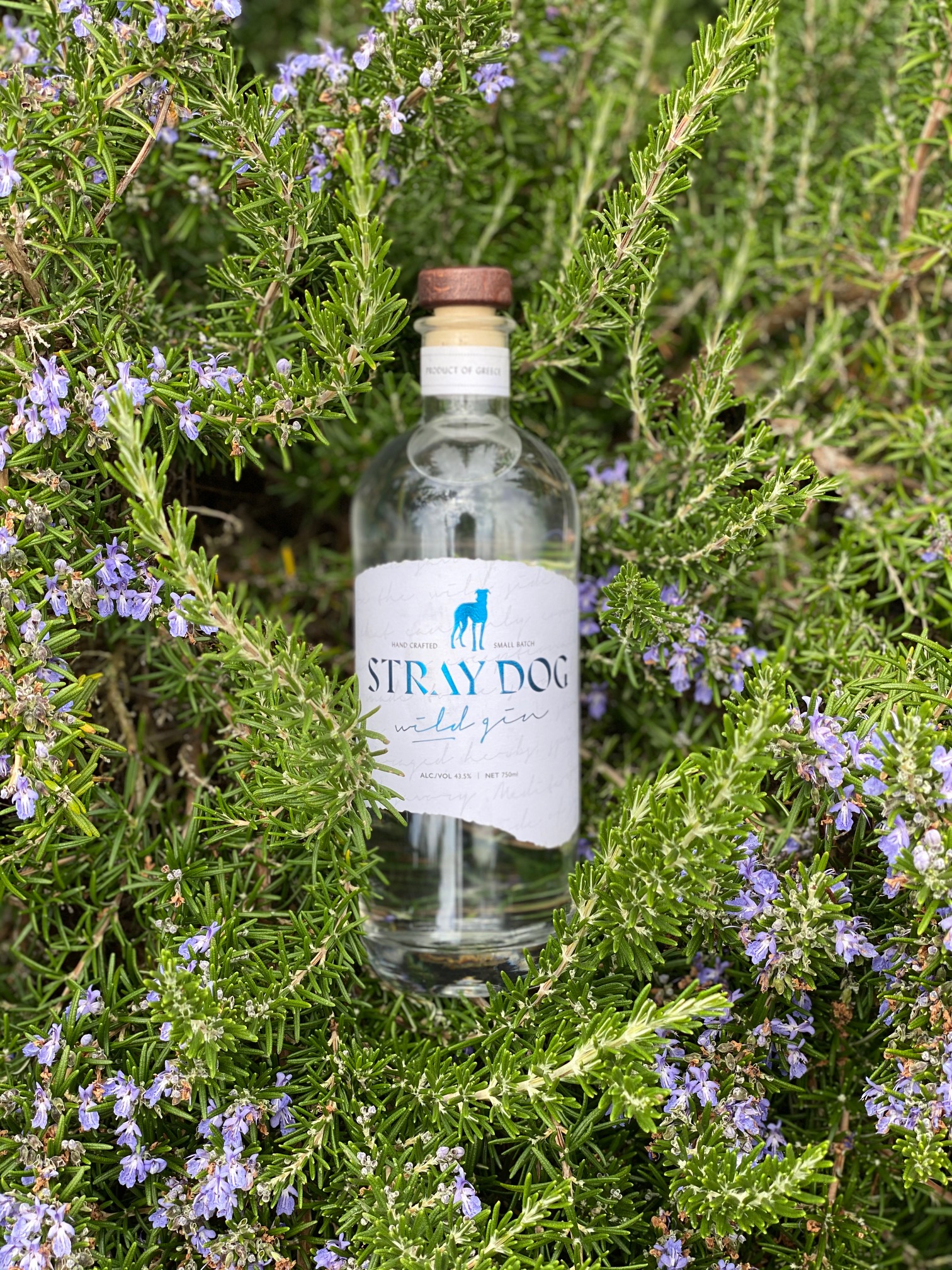 Stray Dog Wild Gin from Greece - Winner of Silver medal at the USA ...