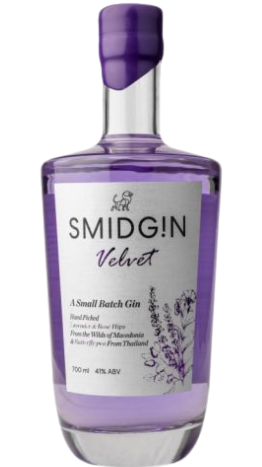 Smidgin Velvet from Macedonia, the former Yugoslav Republic of - Winner ...